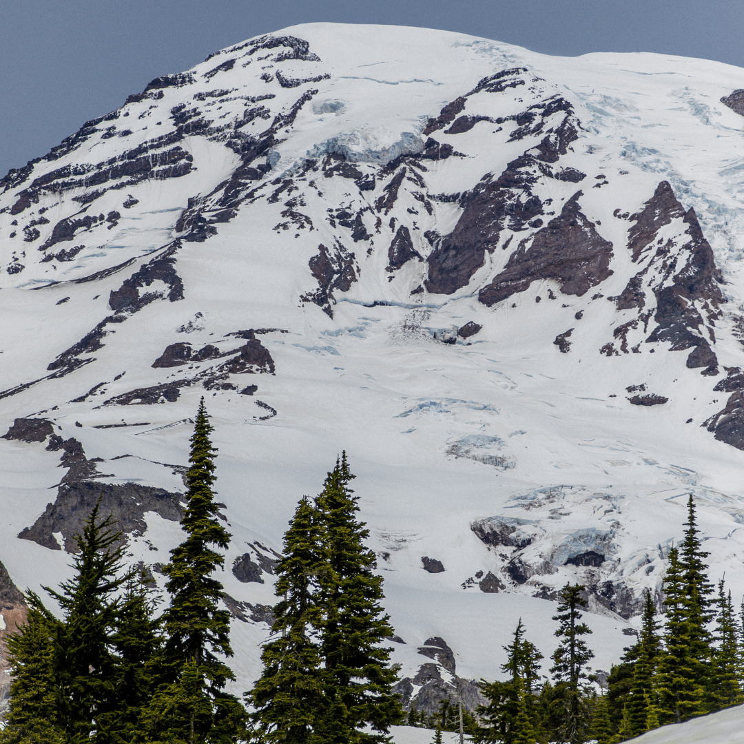 Rates – Angle Lake RV Park