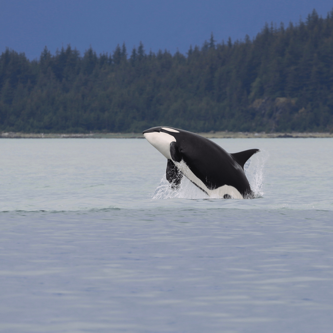 Rates – Angle Lake RV Park